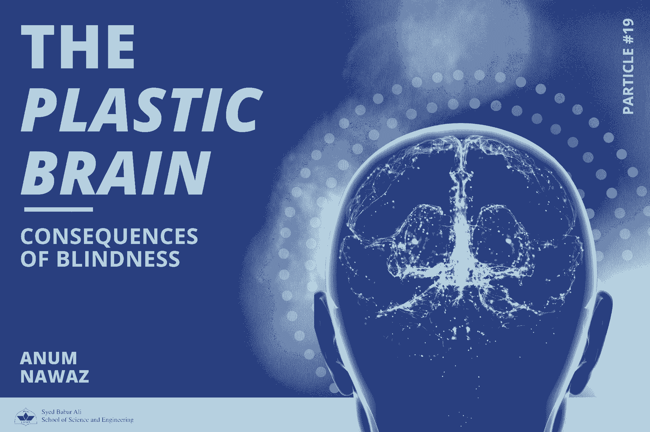 The Plastic Brain | SBASSE